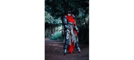 Hawke warrior armor from Dragon Age 2